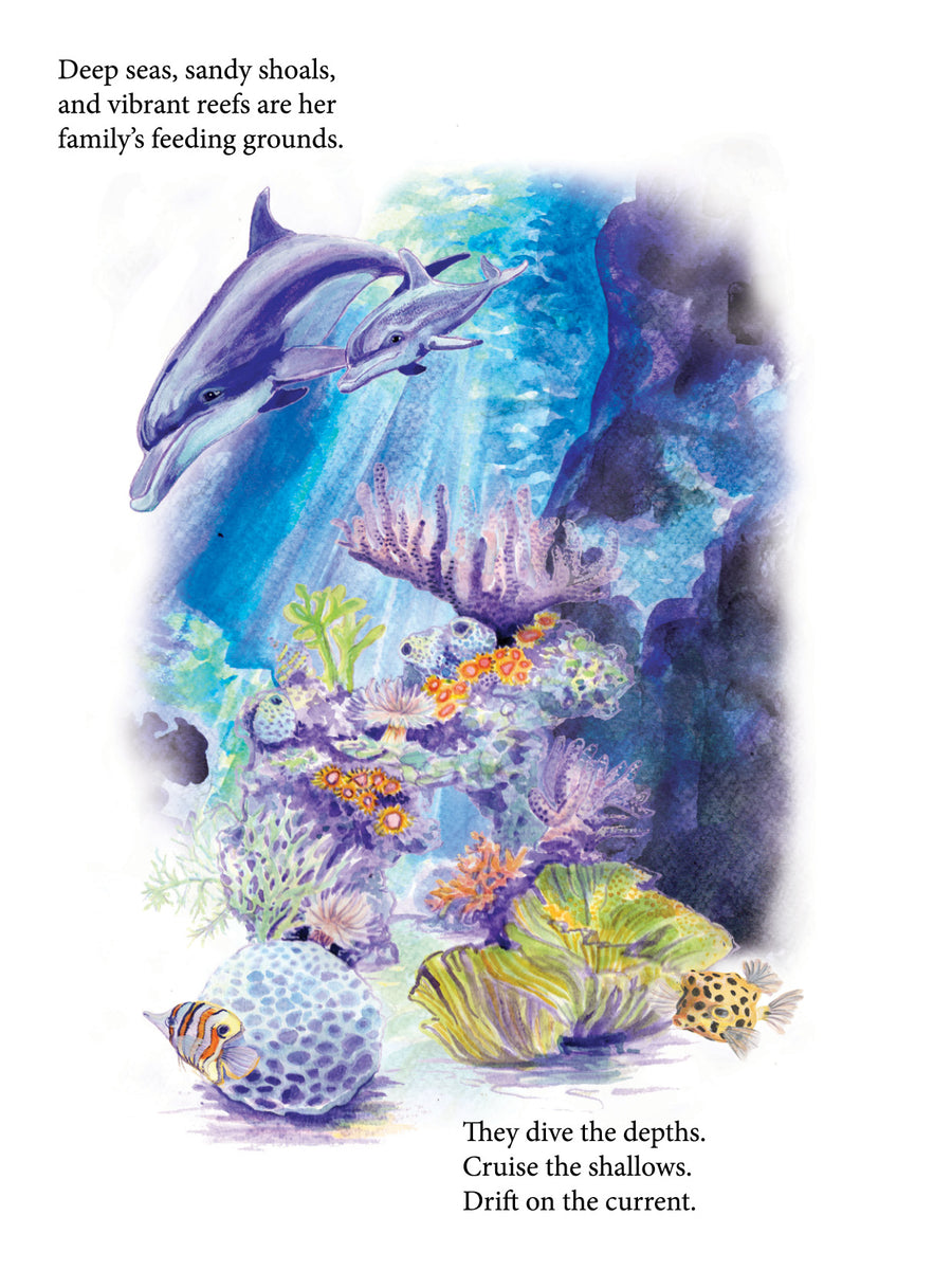 Children's Book - Coral – Wild Eyed Press