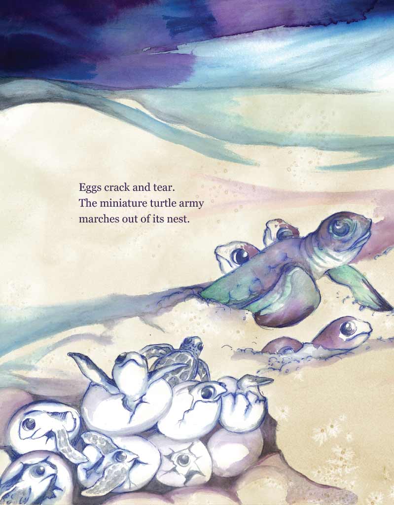 Children's Book - Emerald - The Green Turtle's Tale – Wild Eyed Press