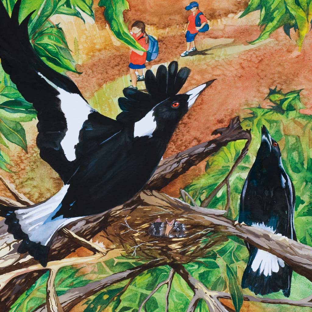Greeting Card - A Magpie Lark – Wild Eyed Press